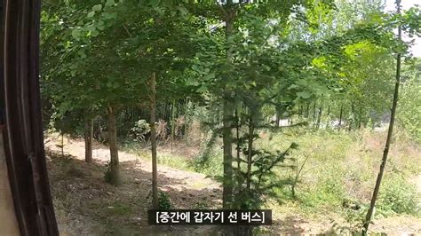 최근 중국 시골 여행 도중 낭만있는 버스기사님을 만난 유튜버 ㄷㄷㄷ 포텐 터짐 최신순 에펨코리아