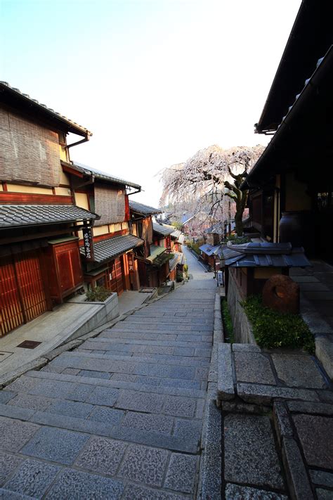 産寧坂（三年坂） 桜 情緒ある街並みとしだれ桜 京都もよう Kyoto Moyou