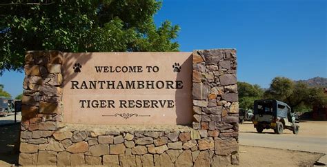 Ranthambhore National Park On Linkedin Tigress Riddhi Spotted With