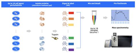 Rise Of Automation In Mass Spectrometrybased Proteomics
