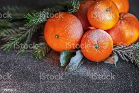 귤 전나무 가지 눈이 있는 검은 배경에 새해 정물 텍스트를위한 장소가있는 크리스마스 카드 감귤에 대한 스톡 사진 및 기타 이미지