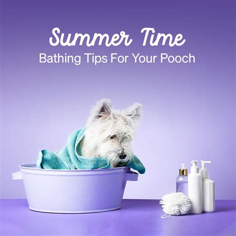 Summer Time Bathing Tips For Your Pooch Justdogs