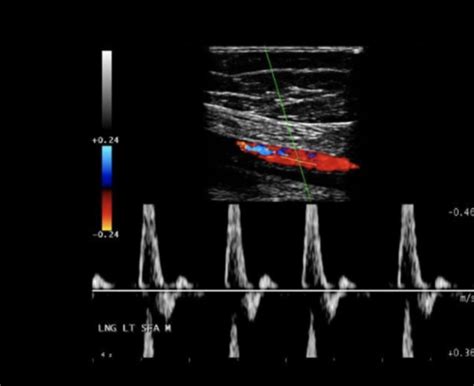 SPI Mock Exam E Comprehensive Study Guide For Computer Science Flashcards Quizlet