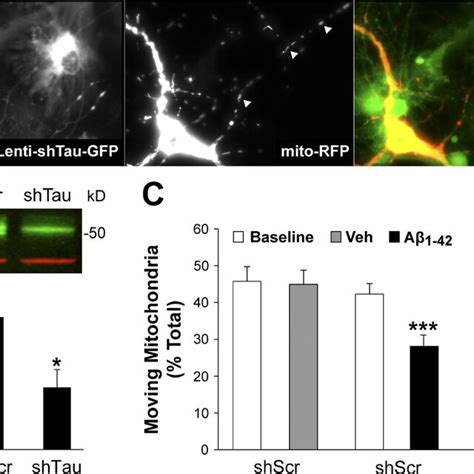 Differential Ability Of Tau Truncation Mutants To Reconstitute