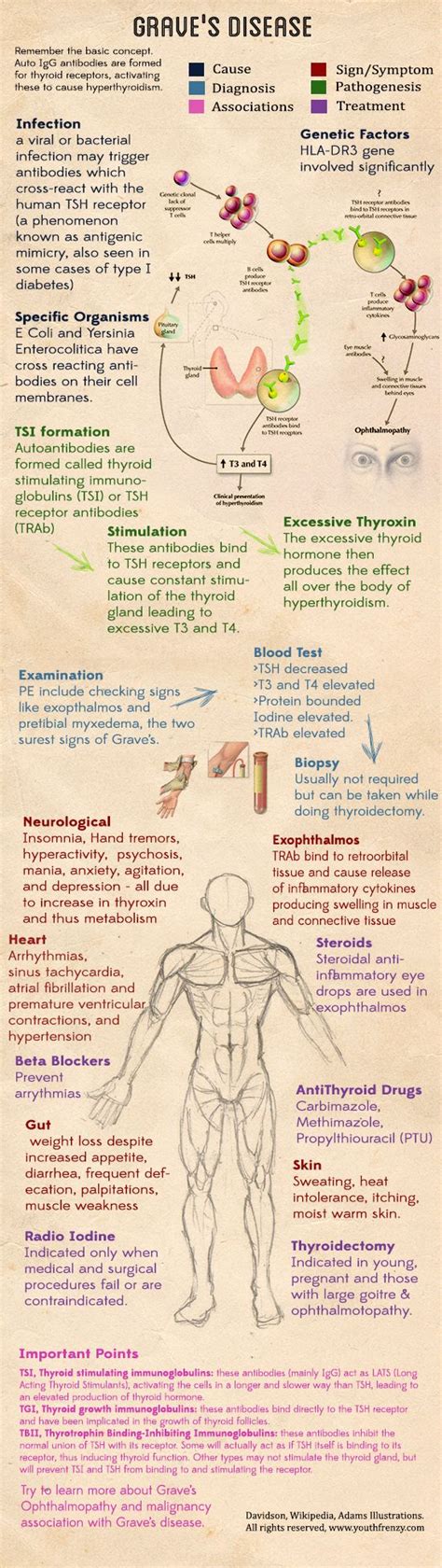 Thyroid Disease NurulHidayu