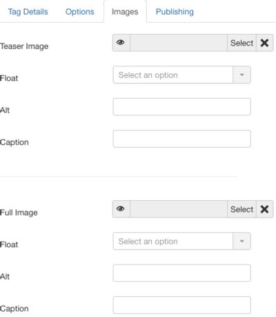 Help310 Components Tags Manager Edit Joomla Documentation