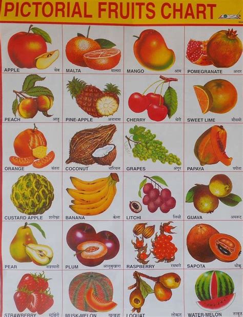 School Chart Print Of Pictorial Fruits Chart In Hindi Andenglish Sc4