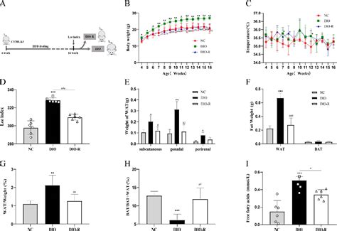 Figure 1 From Increased Fgf 21 Improves Ectopic Lipid Deposition In The Liver And Skeletal