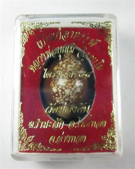 เบี้ยแก้ หลวงพ่อมี วัดม่วงคัน เบี้ยแก้ สายอ่างทอง หลวงพ่อนุ่ม วัดนาง