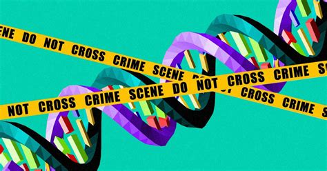 Tech Firm That Develops Tools For Police Buys Massive Dna Database