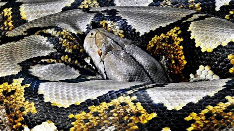 framework training b corp™ on linkedin pythonprogramming