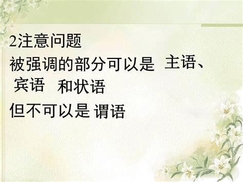 高三英语语法二轮复习 强调句型(共18张ppt)21世纪教育网 二一教育 高三英语语法二轮复习 强调句型(共18张ppt)21世纪教育网 二一教育