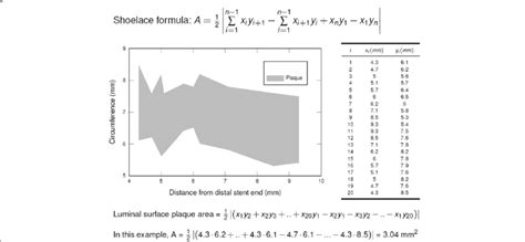 Shoelace Formula Schematic Presentation Of The Mathematical Algorithm Download Scientific