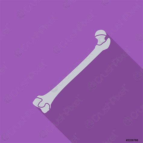 Bone Flat Icon Stock Vector 3208788 Crushpixel