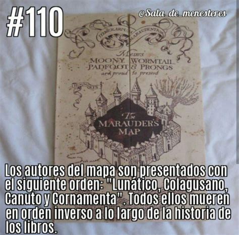 Curiosidades Sobre Harry Potter •harry Potter• Español Amino