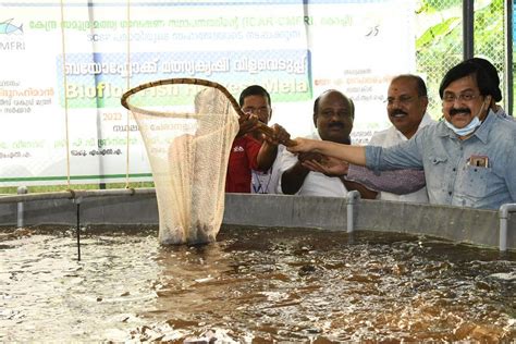 Biofloc Farming Success Likely To Boost Aquaculture The Hindu
