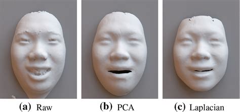Laplacian Loss And Statistical Mouth Model Laplacian Loss C Limits