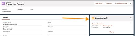 parameters field service how to get record id inside visual flow