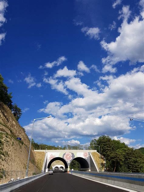 홍천고속도로 생태터널 파타일 네이버 블로그