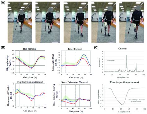 Gait Analysis In Passive Mode A Snapshots Of The Amputees Frontal Download Scientific