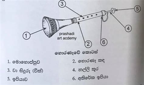 Like Our Page 👍 පහතරට බෙරය දවුල Prashadi Art Academy