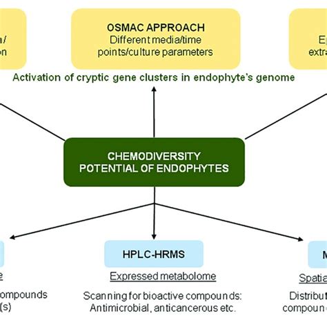 Schematic Representation Of Various Approaches For Screening Of