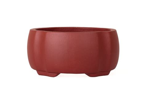 Pinza curva con espátula de acero inox Kaneshin 61 230 mm Bonsai