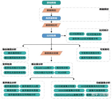 转录组学干货 转录组测序技术流程介绍 知乎