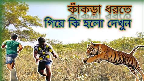 ॥crab Farming🦀🔥॥ সুন্দরবন জঙ্গলে কাঁকড়া ধরতে গিয়ে বাঘের মুখে🐯🔥