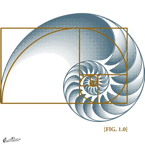 Nautilus Shell In Math