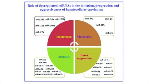 Representation Of The Role Of Dysregulated Mirnas In Initiation