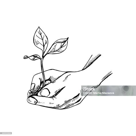 Sketsa Tunas Pohon Yang Digambar Tangan Di Tangan Eko Perawatan Ekologi