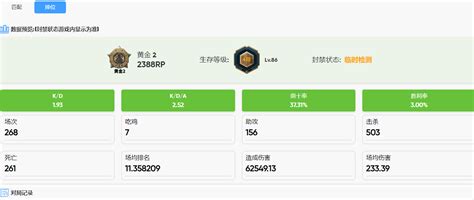 绝地求生战绩查询kd排位生存等级查询吃鸡封禁查询网站 Ysncc 绝地求生战绩查询音速电玩pubg封禁查询生存等级查询pubg助手