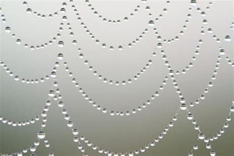 From Concept To Code A Comprehensive Guide To Custom Web App Development Kmf Blogs