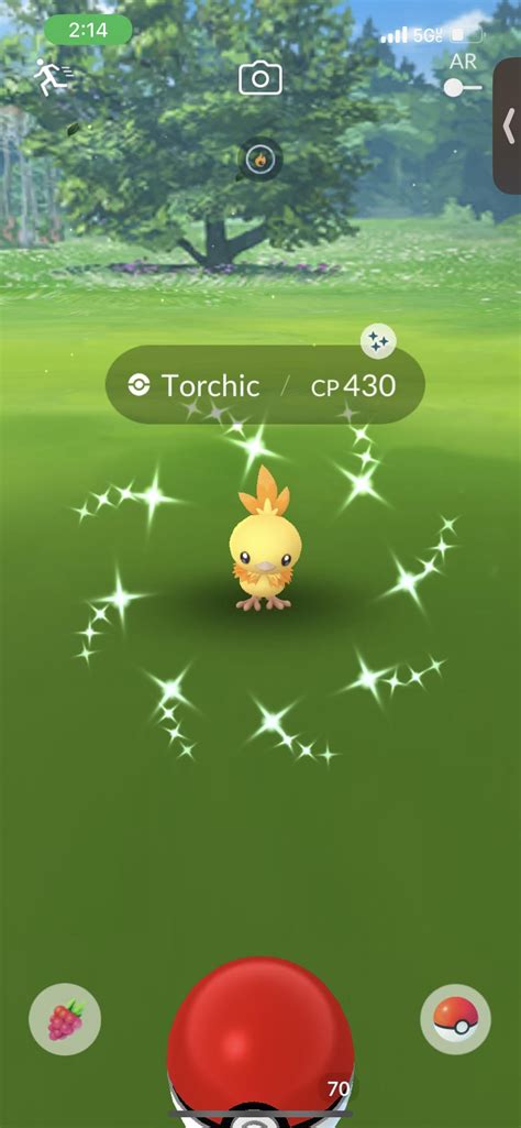 [mobile] Got Another Shiny Torchic Earlier In The Evening R Shinypokemon