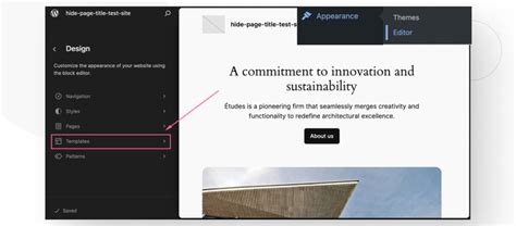 How To Hide The Page And Post Title In WordPress White Canvas