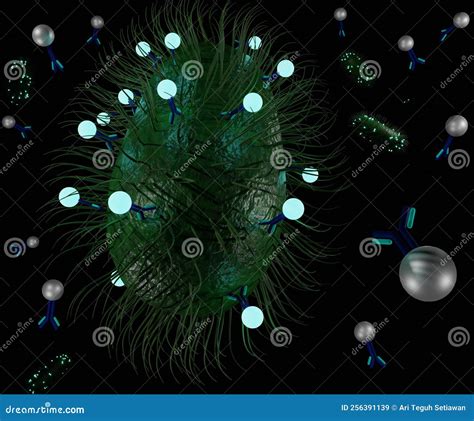 Fluorescent Based Quantum Dot Immunoassay Nanosensors On Bacteria