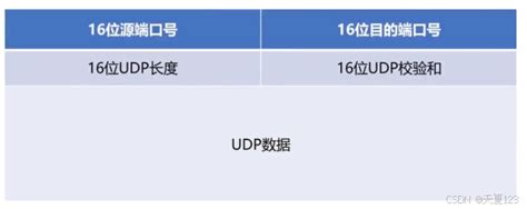 Dpdk发送udp报文 Csdn博客