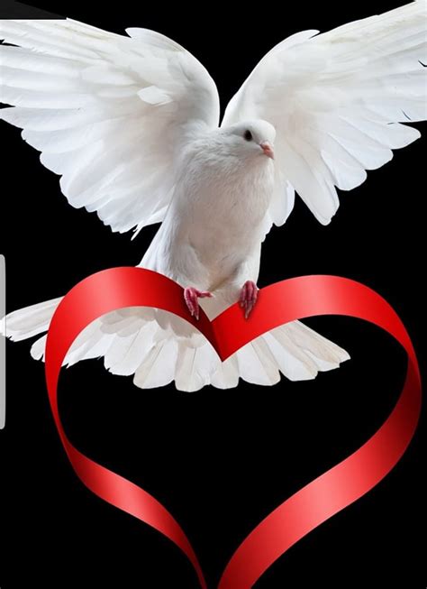 მეგობრობა მხიარულება გართობა💖💖💖💖