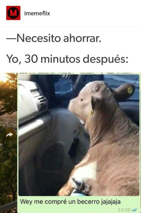Pines Elegidos Solo Para Ti Al Gmail Memes Graciosos Memes Memes Divertidos