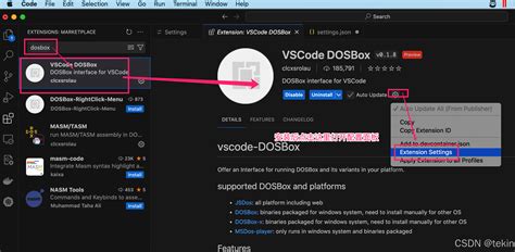 Macos Vscodedosbox 8086汇编语言开发调试环境搭建方法 包含所有相关的工具的下载和安装配置方法vscode