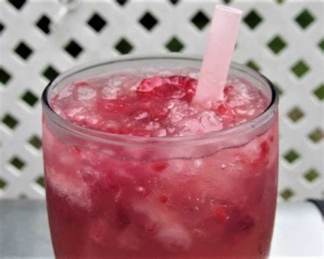 Raspberry Lemonade Punch Recipe