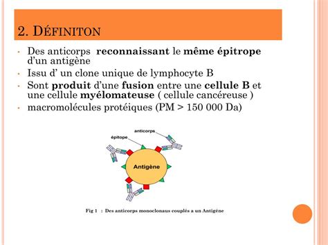 Ppt Les Anticorps Monoclonaux Powerpoint Presentation Free Download