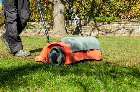 Greenpal 🍂 Thinking About Dethatching Your Lawn 🌱 Here Are 10 Must