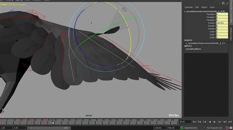Raven 3d Model Preview YouTube