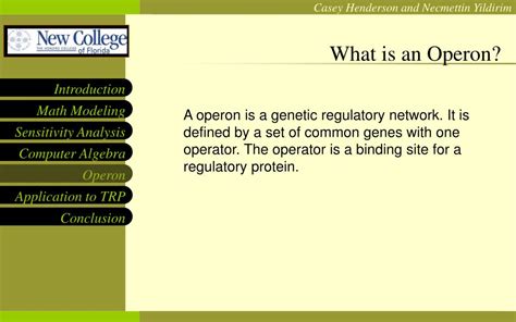 ppt computer algebra approach to sensitivity analysis application to