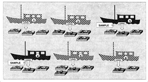 Illustration Of The Concepts Of Total Enumeration And Download Scientific Diagram
