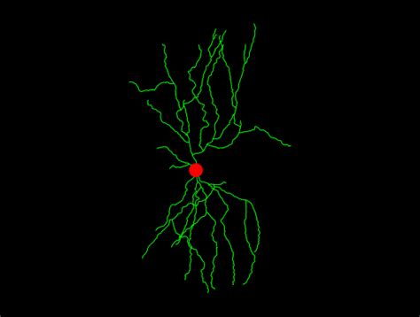 Detailed Cell Information Wt3 N4 21