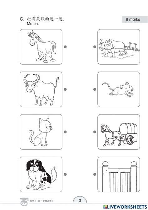 Science K2 Pg4 Interactive Worksheet Live Worksheets