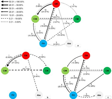 Diagrams Showing The Absolute And Percentage Values Of Nodes In The